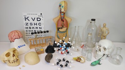 Mad Scientist Laboratory Movie Props Chemistry Man Cave Awesome lot ...