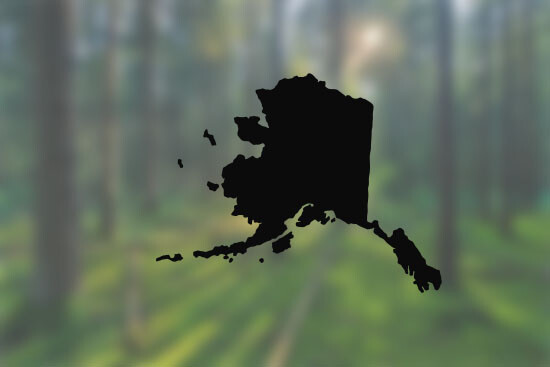 Alaska State Shape Native Local - Vinyl Decal Outdoor Weatherproof | eBay