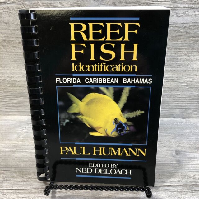 Reef Fish Identification Florida Caribbean Bahamas : 1st Edition by ...