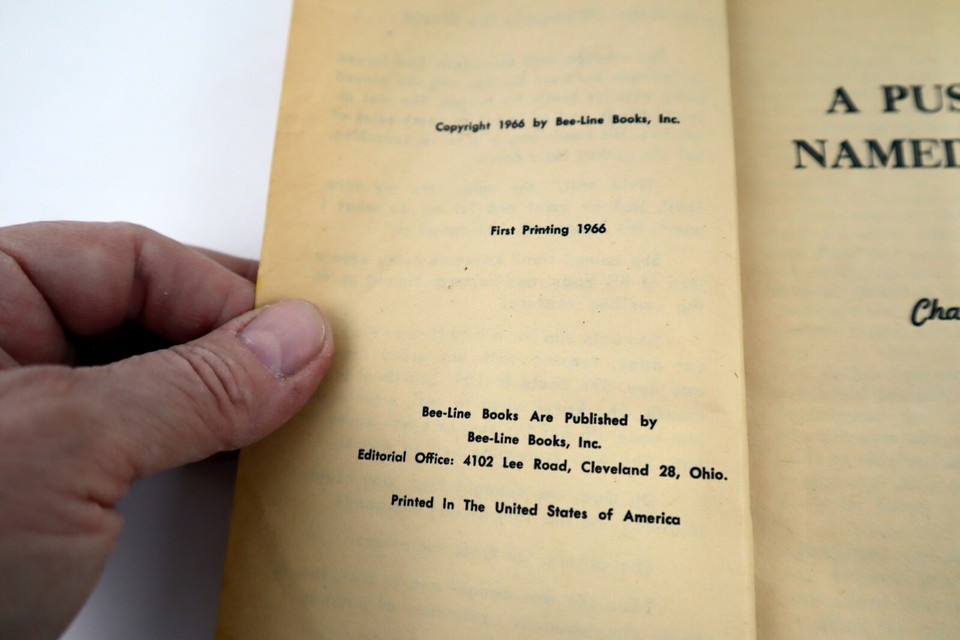 Pussycat Named Desire by Channy Wadd (1966, pb) Bee-Line Books Sleaze ...