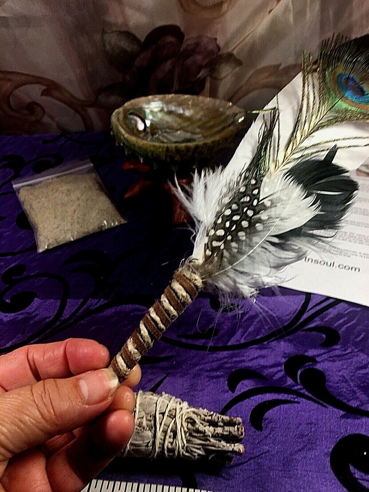 DELUXE SMUDGE KIT ABALONE SHELL STAND SAND SAGE FEATHER CLEANSING ...