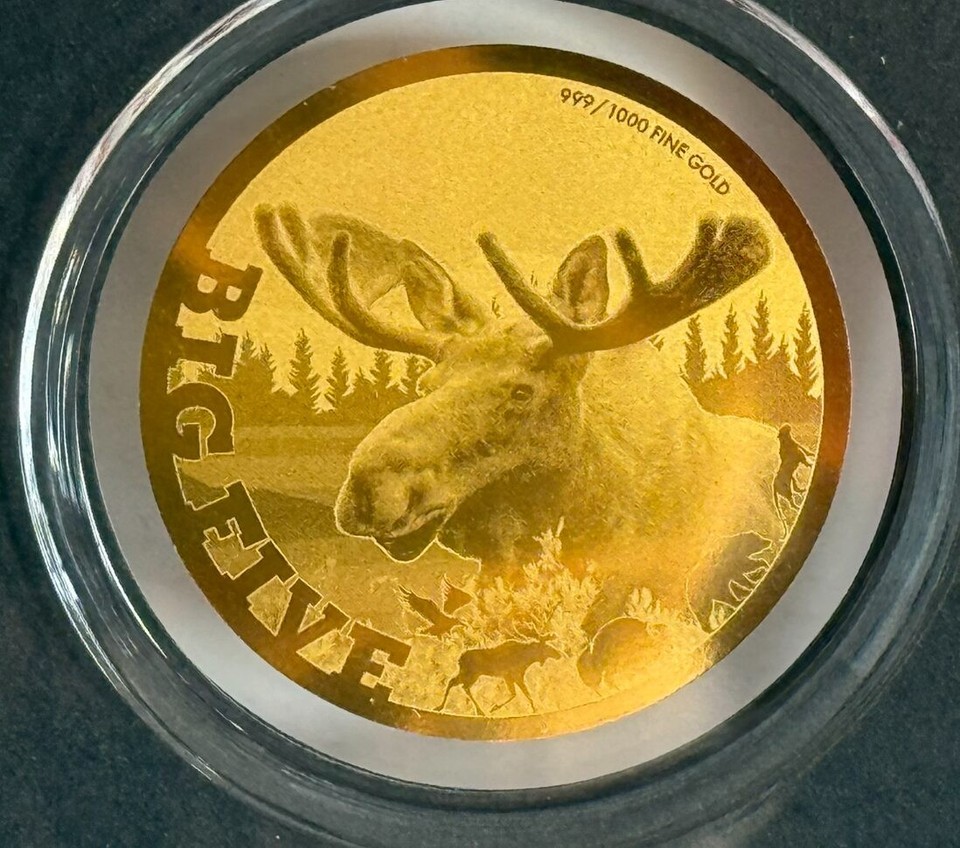 2025 Chad Big Five Moose 1/200 oz Gold Coin | eBay
