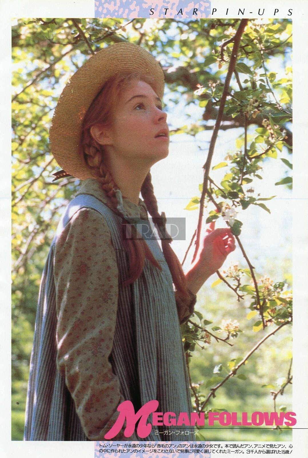 MEGAN FOLLOWS Anne of Green Gables 1989 JPN Picture Clipping 8x11.6 vj ...