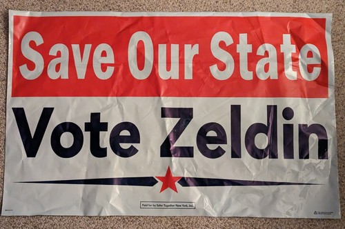 Lee Zeldon For NYS Governor - 2022 - Republican Campaign Poster "Save ...