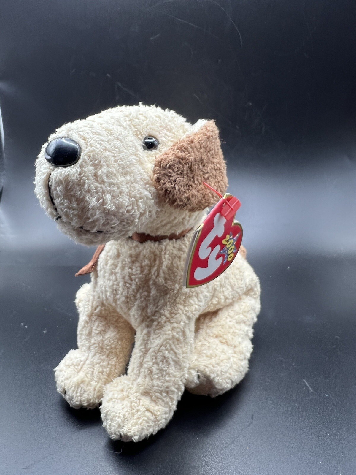 TY Beanie Baby - RUFUS the Dog, 2000, | eBay