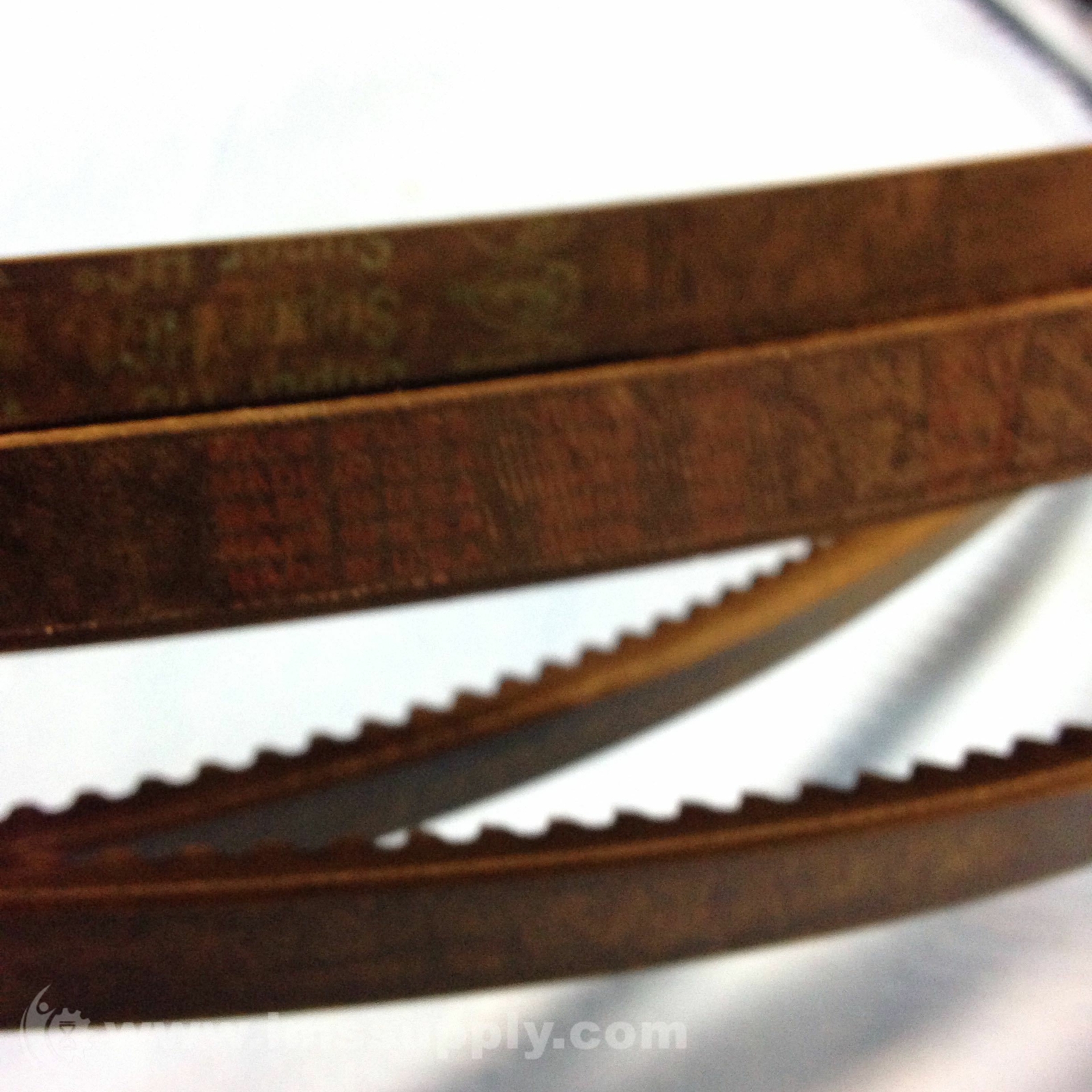 Vextra 5VX830 V-Belt USIP for sale online | eBay