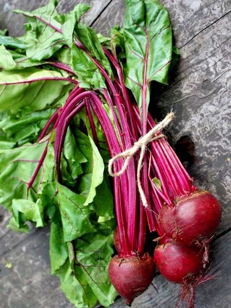 BEETROOT 'Detroit' 50 seeds dark red root vegetable garden EASY TO GROW ...