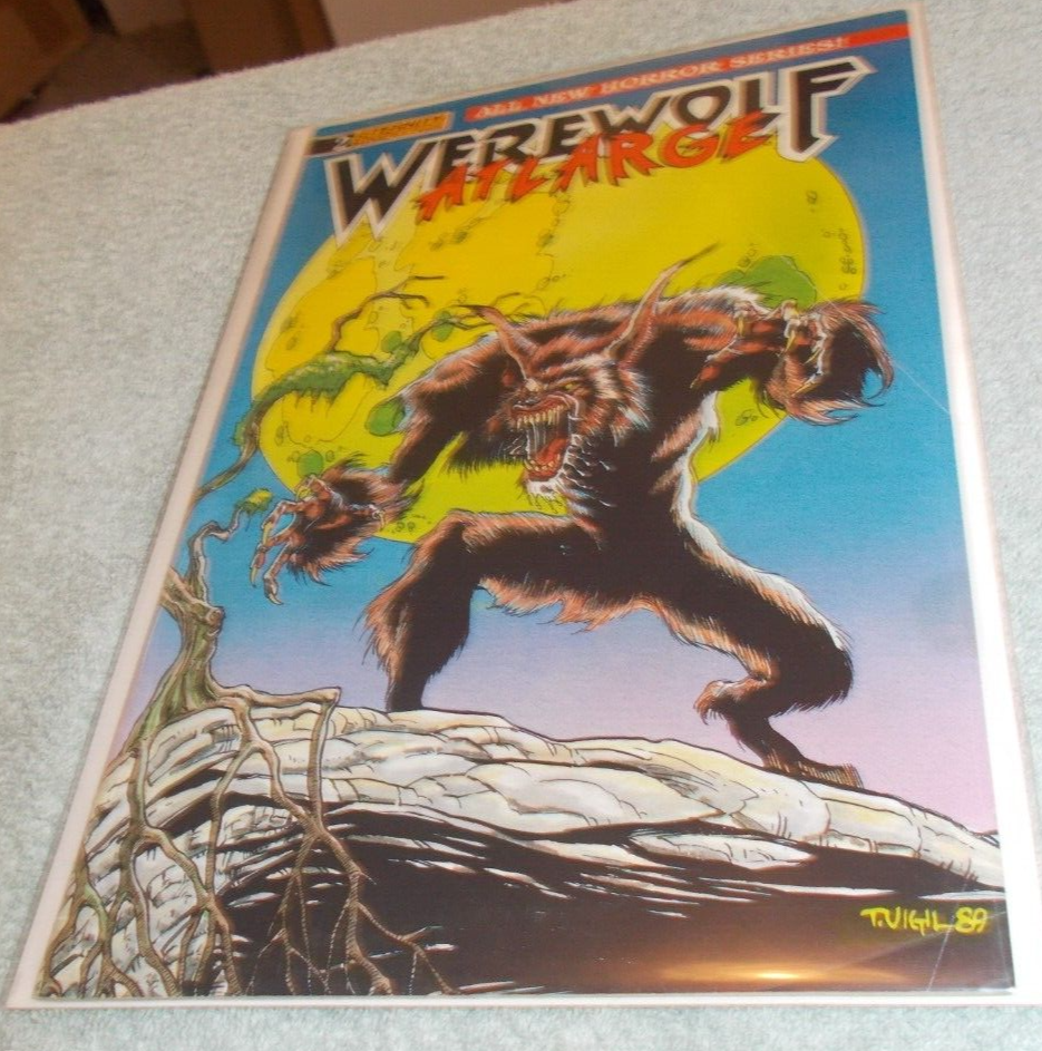 WEREWOLF AT LARGE # 2 GD+ ETERNITY COMICS 1989 COPPER AGE TIM VIGIL | eBay