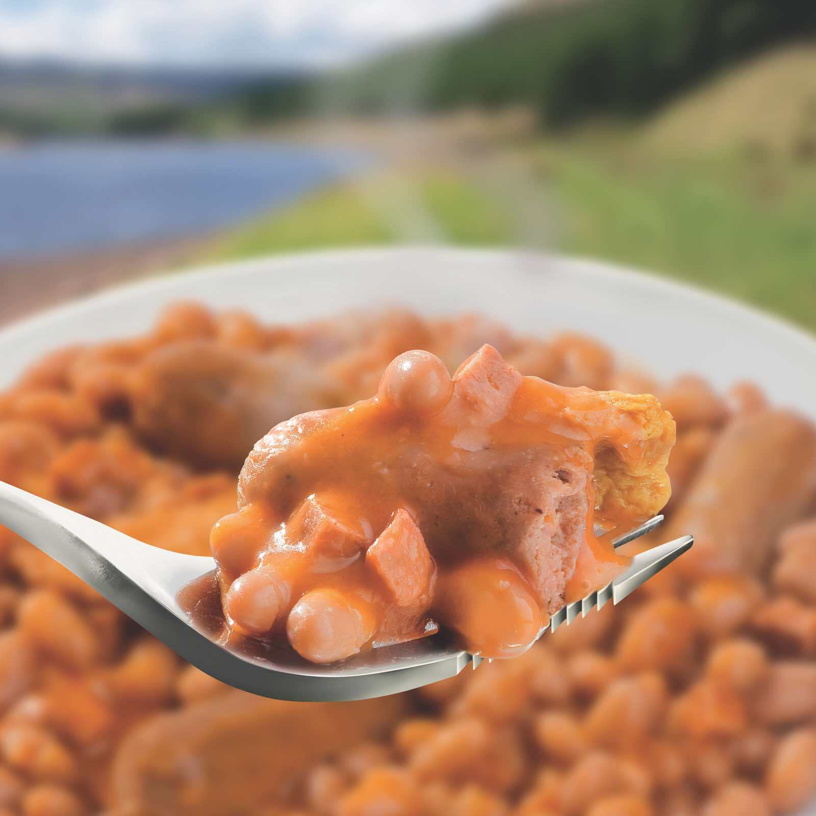 Wayfayrer Camping Food Meals Ready To Eat Hot / Cold Hiking MRE DofE ...