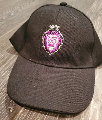 ECHL Reading Royals (SGA) Black Hockey Hat/Cap With Logo | eBay
