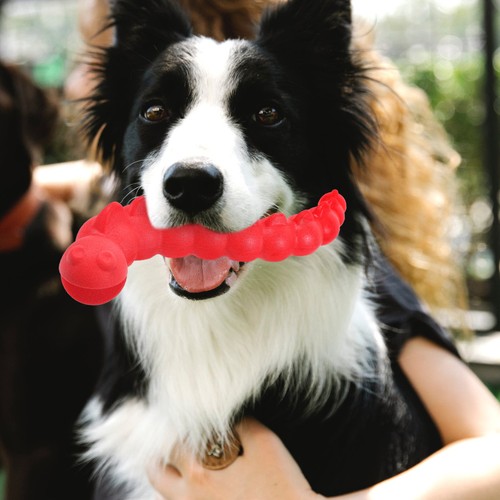 Dog Chewing Toy Pet Biting Toy Dog Chew Toy Cartoon Animal Shaped Toy ...