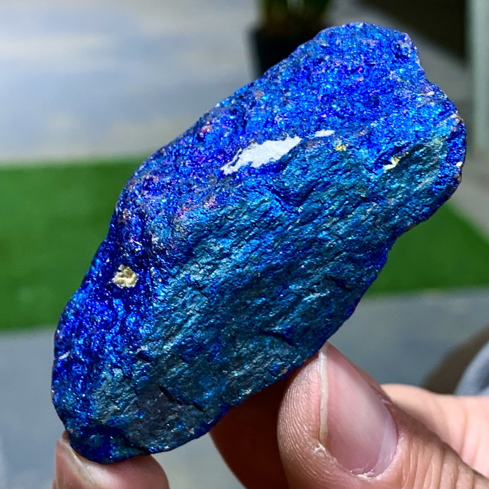 101G Rare Natural Beautiful Colorful Bornite Raw Mineral Specimen ...