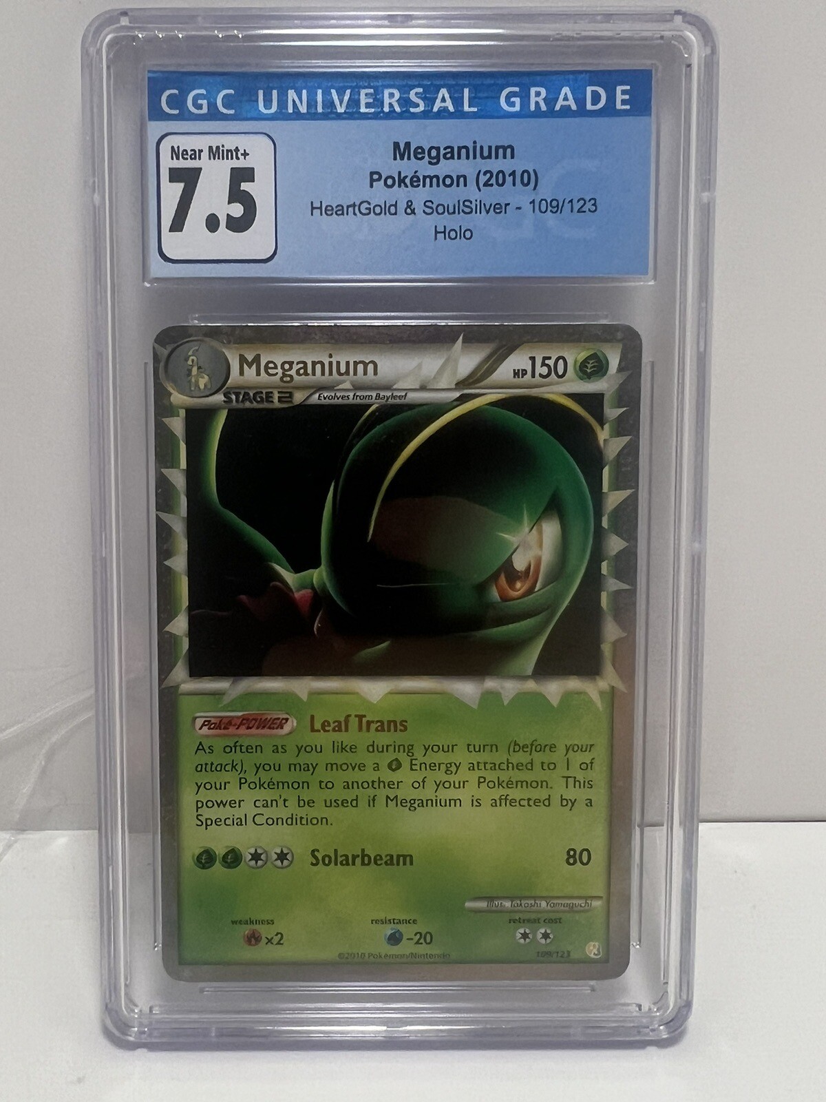 Pokemon Gen 2 Starter Bundle | eBay