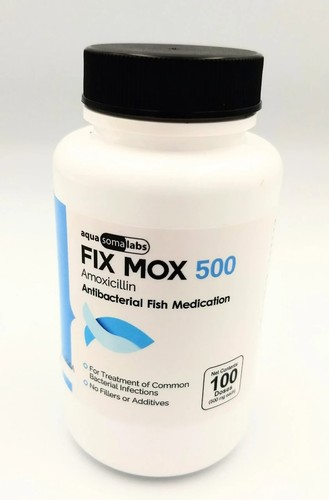 FOR FISH Aquariums & FISH Tanks Fix AMoxil 500mg/100 CT Made in USA, US ...