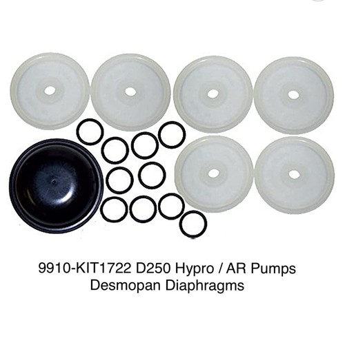 9910-kit1722 D250 Hypro / AR pumps Desmopan Diaphragm Kit | eBay