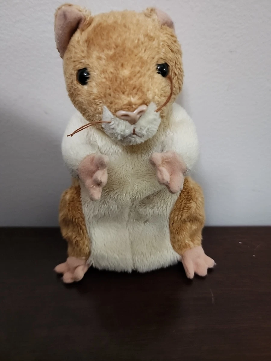 Orange Teddy Bear Hamster