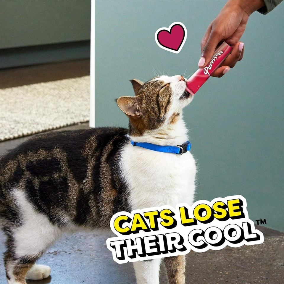 Creamy Puree Squeezable Lickable Cat Treats, Wet Cat Treats with Salmon ...