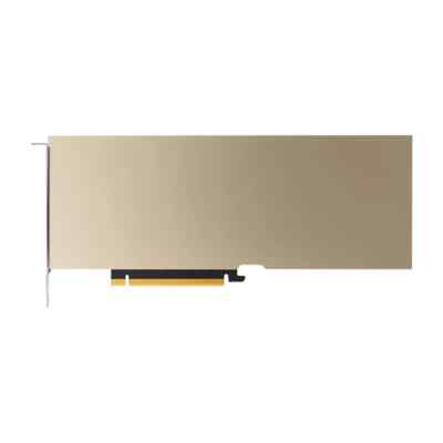 NVIDIA Tesla A10 24GB GDDR6 Passive CUDA GPU PCIe Accelerator | eBay