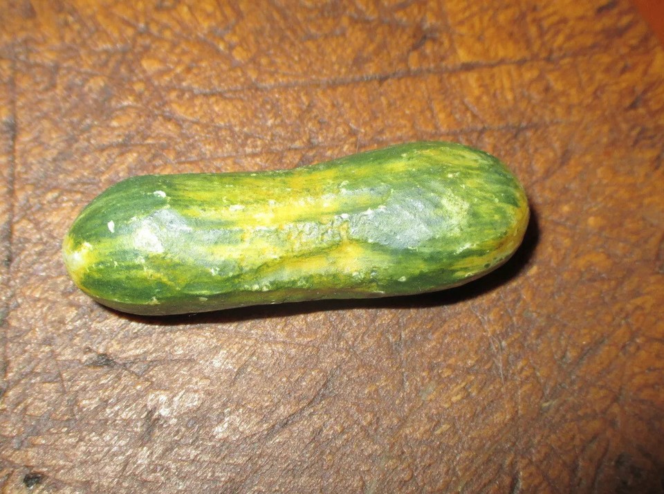 Early Italian Alabaster Stone Alabaster Miniature Cucumber Pickle ...