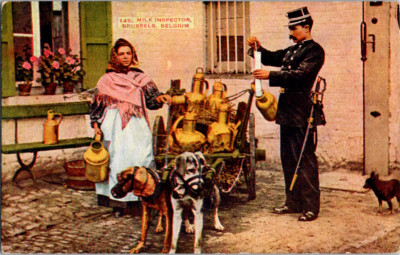Vintage Postcard Milk Inspector Brussels Belgium Traditional Street ...
