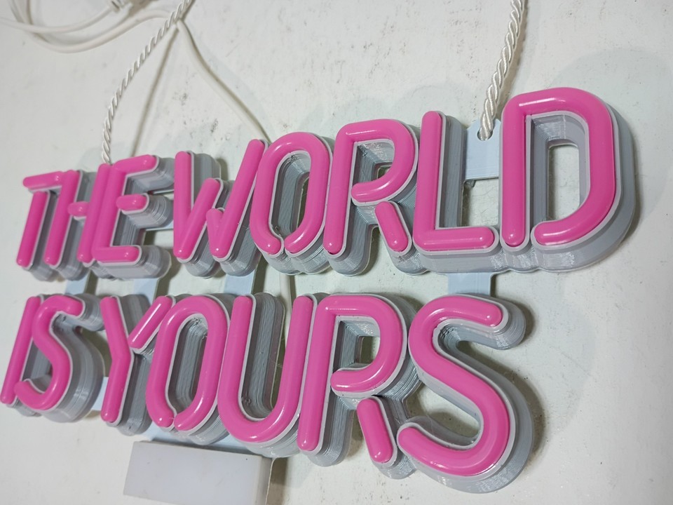 Pink LED Neon Sign 'THE WORLD IS YOURS' USB-Powered Hanging Wall Decor ...