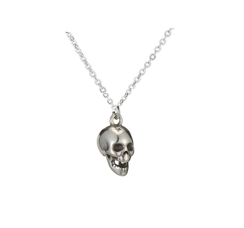 Silver Titanium Skull Head Pendant Chain Necklace | eBay