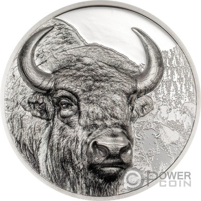 BISON Wild Mongolia 3 Oz Silver Coin 2000 Togrog Mongolia 2025 | eBay