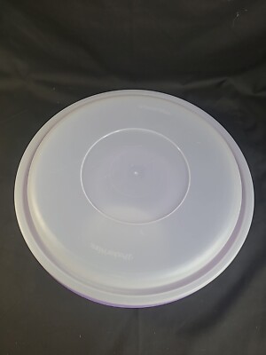 Packerware Chip Dish purple | eBay