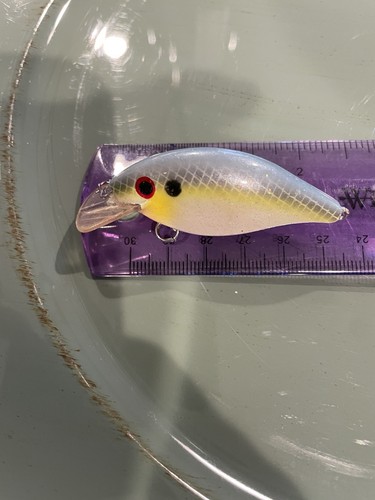 Luhr Jensen SPEED TRAP 1/4 Oz | eBay