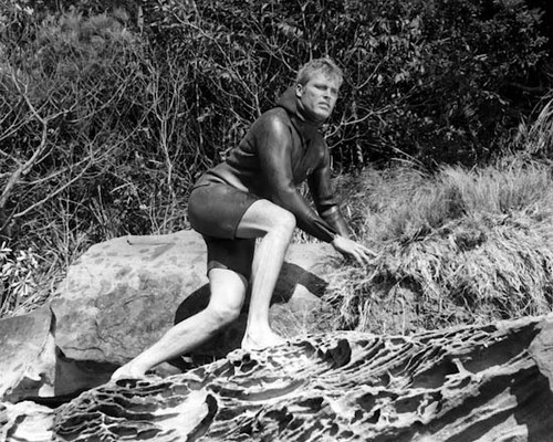 Ty Hardin aka ty Hungerford [1026525] 8x10 photo (other sizes available ...