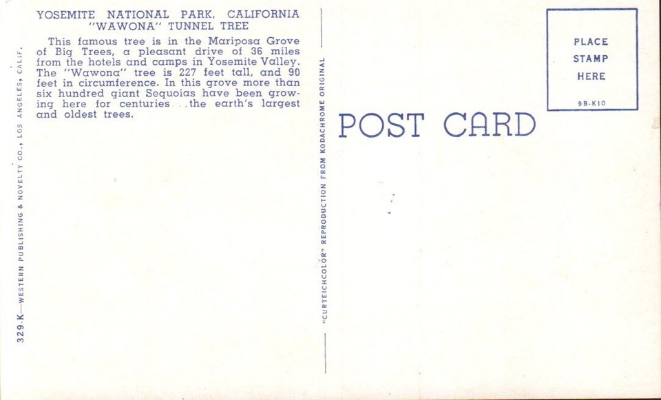 Postcard - Yosemite National Park, California, "Wawona" Tunnel Tree ...