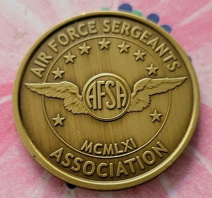AFSA Collector's F-105F THUNDERCHIEF AirForce Sergeants MCMLXI Assoc Coin Bronze | eBay