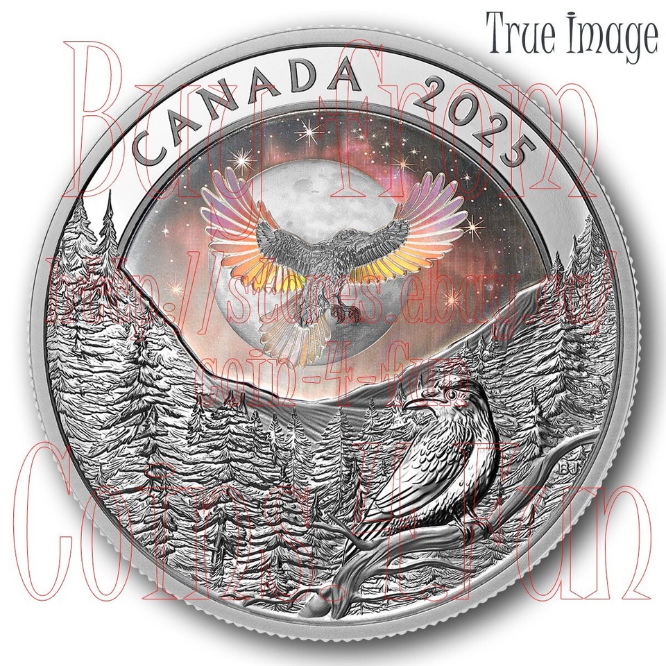2025 - Moon Sky - Raven - $20 Proof Pure Silver Holographic Coin ...