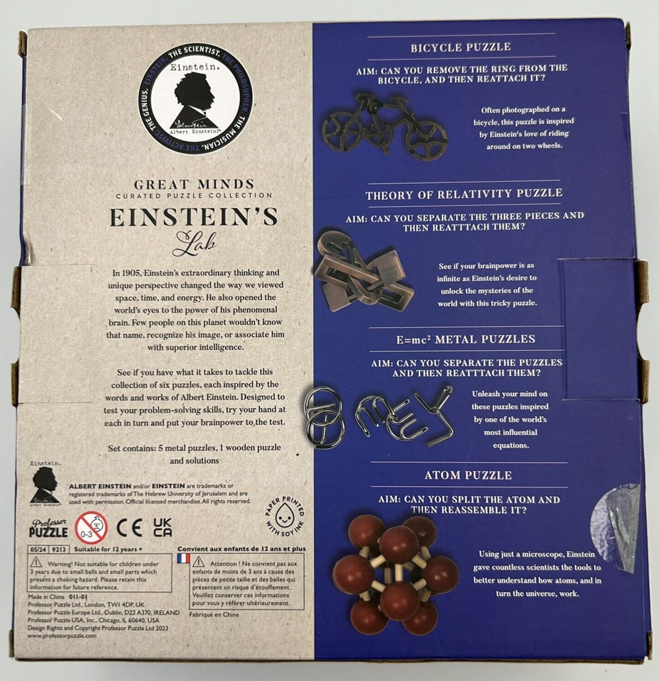 Einstein's Lab Professor Puzzle Great Minds 6 Puzzle Set Brain Teaser ...