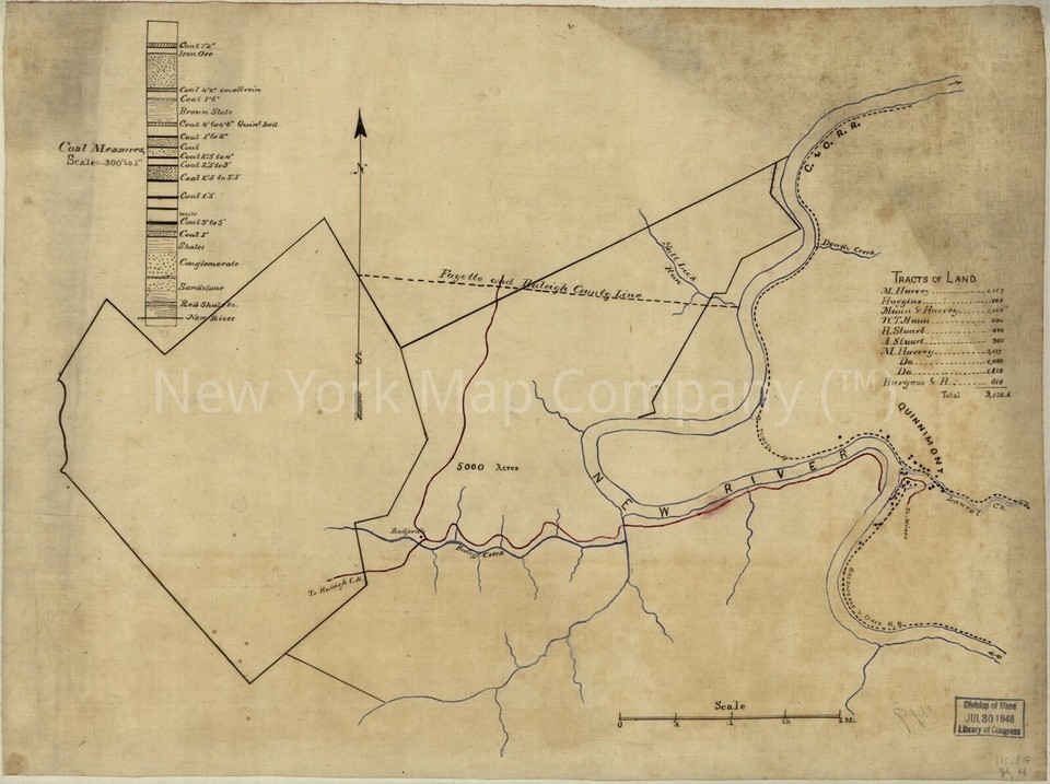 1880 Map| Survey of a tract of 9,138 acres of coal lands on the New ...