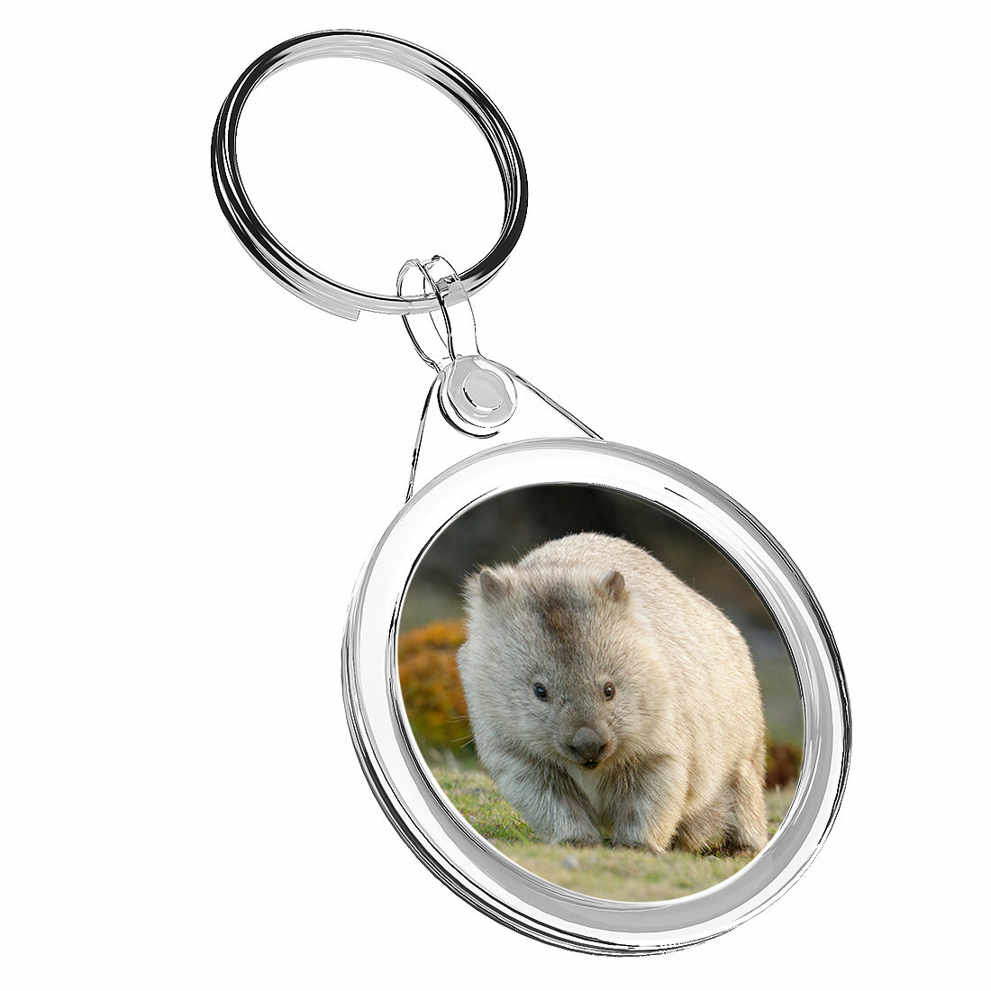 1 x Cute Wombat Australia Animal - Keyring IR02 Mum Dad Kids Birthday ...