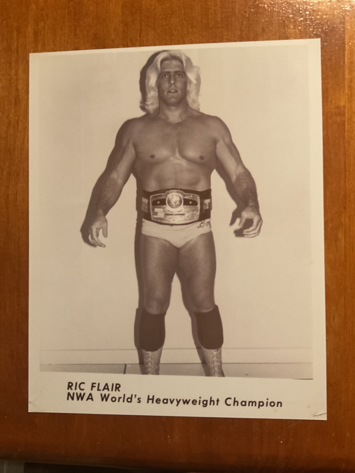 WCW wrestling photo 8x10 art print NATURE BOY RIC FLAIR nwa legend wwe ...