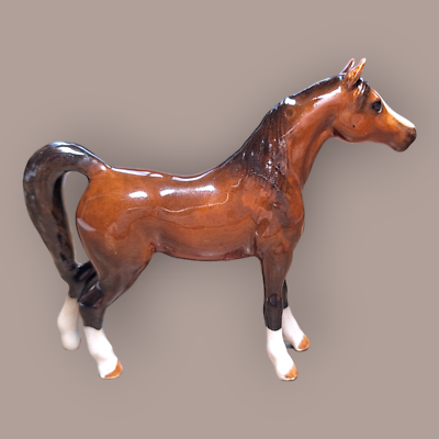 Miniature Arabian Horses