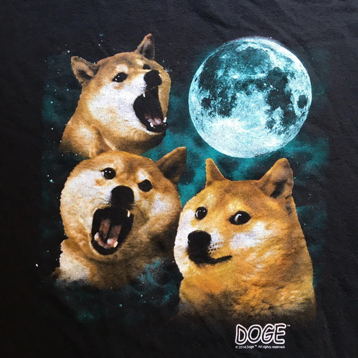 Doge Moon Moon