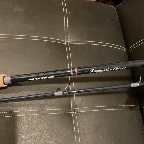kastking baitcasting rod Krdspnps 8h2 | eBay
