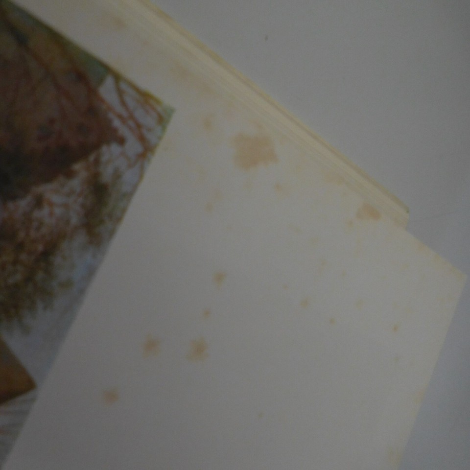 Masterpieces Of Art Great Painters 1966 Pierre Bruegel 17 Paintings ...