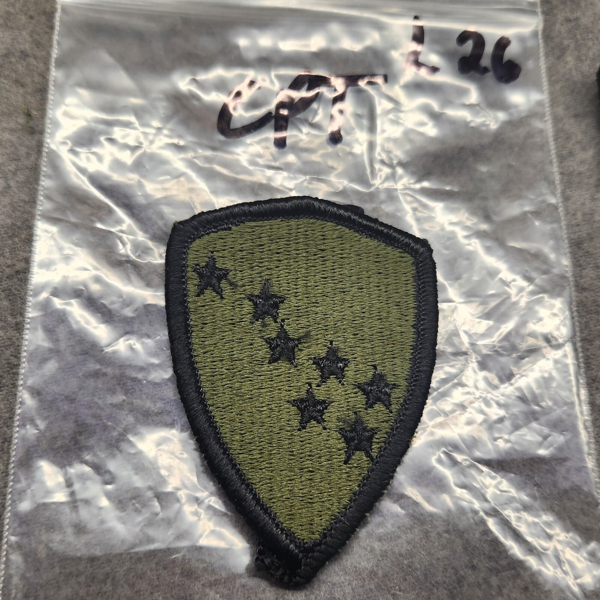 Alaska Army National Guard Logo