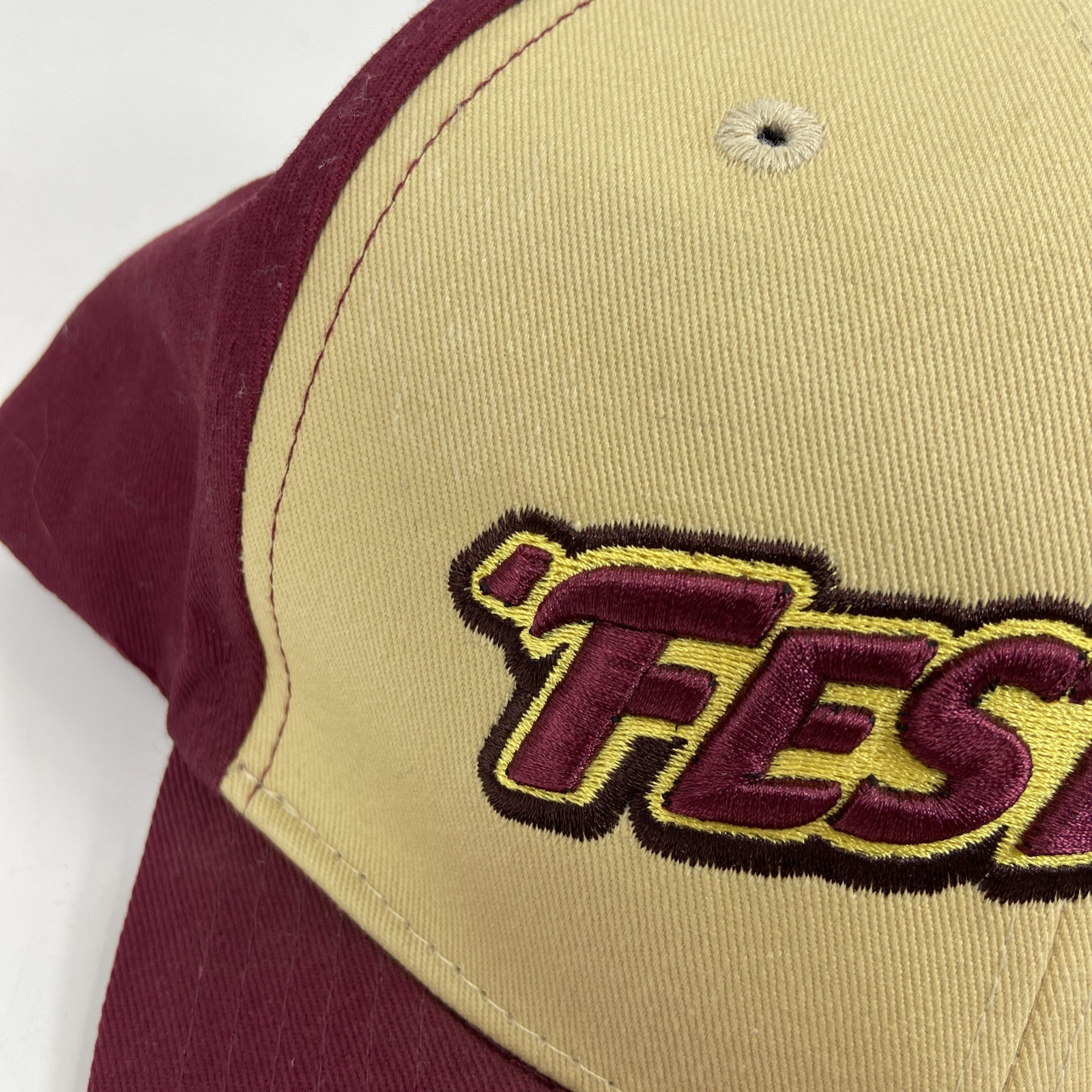 Lehigh Valley Iron Pigs Festers 2019 Musikfest Baseball Hat Service ...