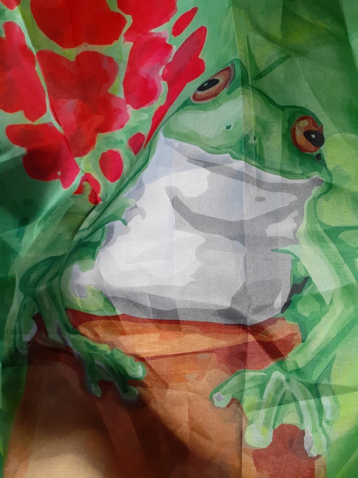 Frog Toad Flag Decor House Garden Banner 28x40 Not Used | eBay