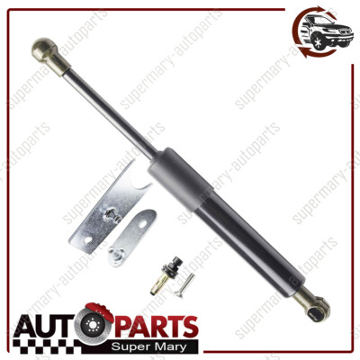 DZ43102 Tailgate Shock Assist For 2013 2014 2015 2016 2017 2018 ...