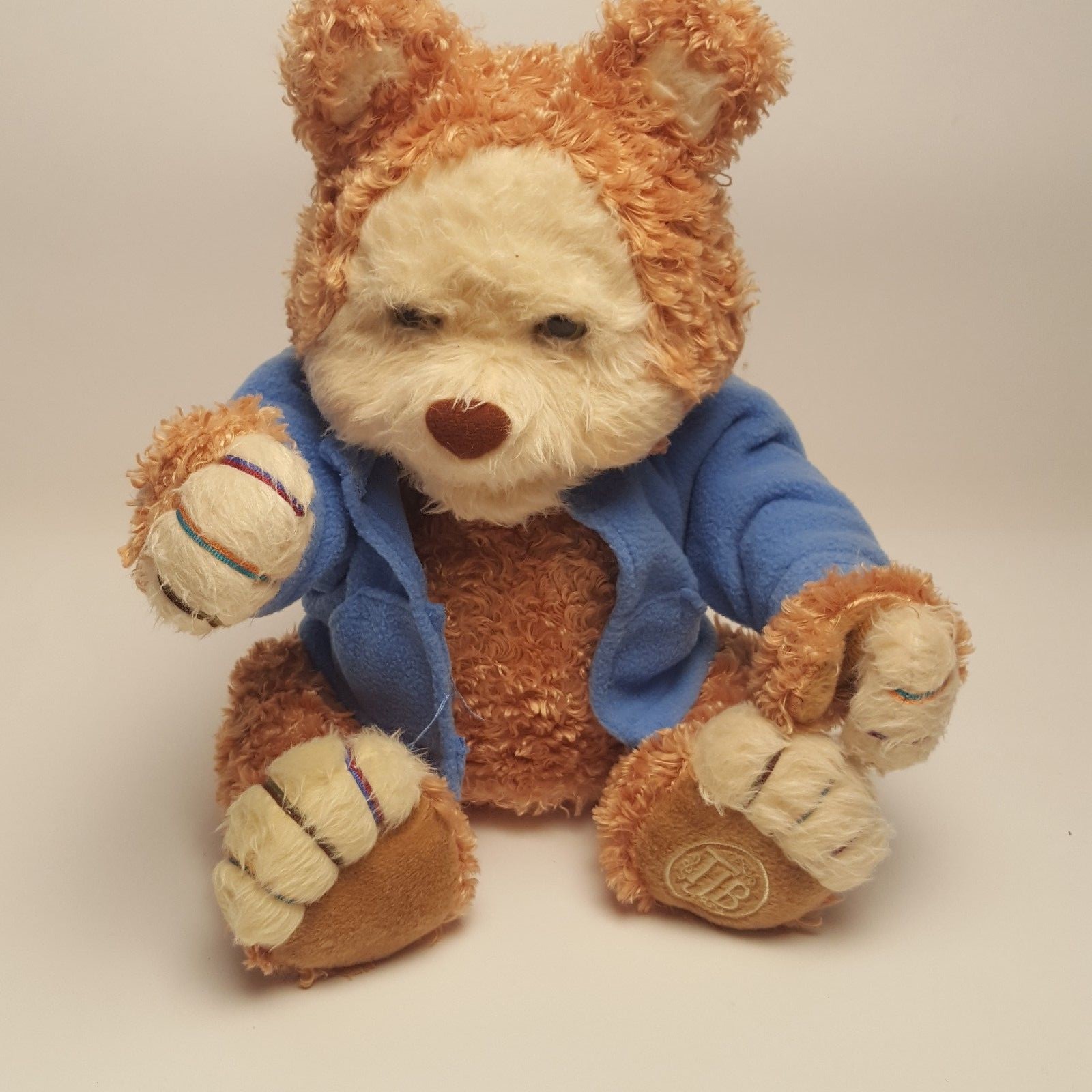 TJ BEARYTALES BEAR STORYTELLING TALKING READING BEAR | eBay