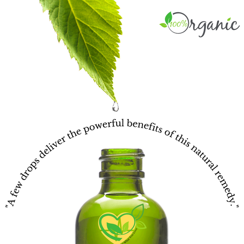 Catnip Tincture Organic Liquid Herbal Drops Natural Mood Sleep 2 OZ ...