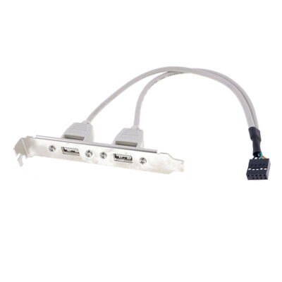 2 Ports USB A femelle vers 9 broches femelle-Boîtier Adaptateur de ...