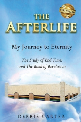 Debbie Carter The Afterlife (Poche) | eBay