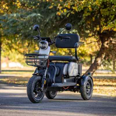 Elektro Dreirad APEC APM2 1000W 60V Senioren E-Roller 3-Rad Scooter ...